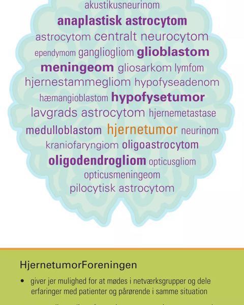 HjernetumorForeningen flyver | HjernetumorForeningen