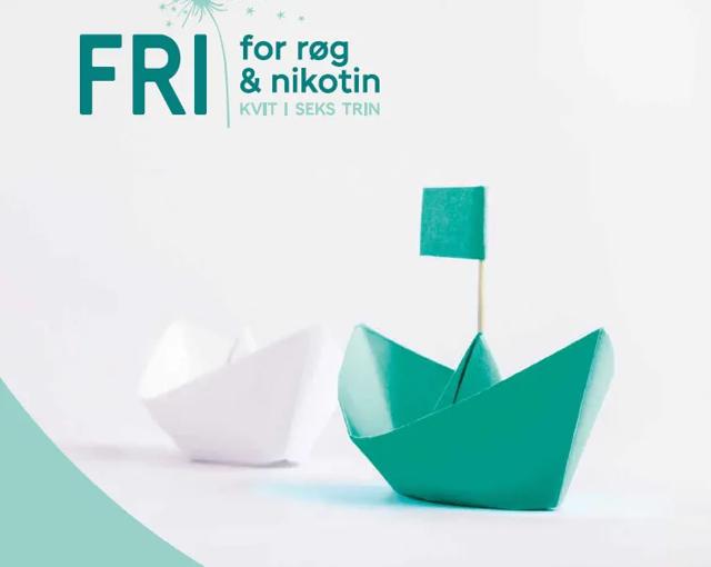 Materialer til rygestoprådgivere - individuelt rygestop - Kræftens ...