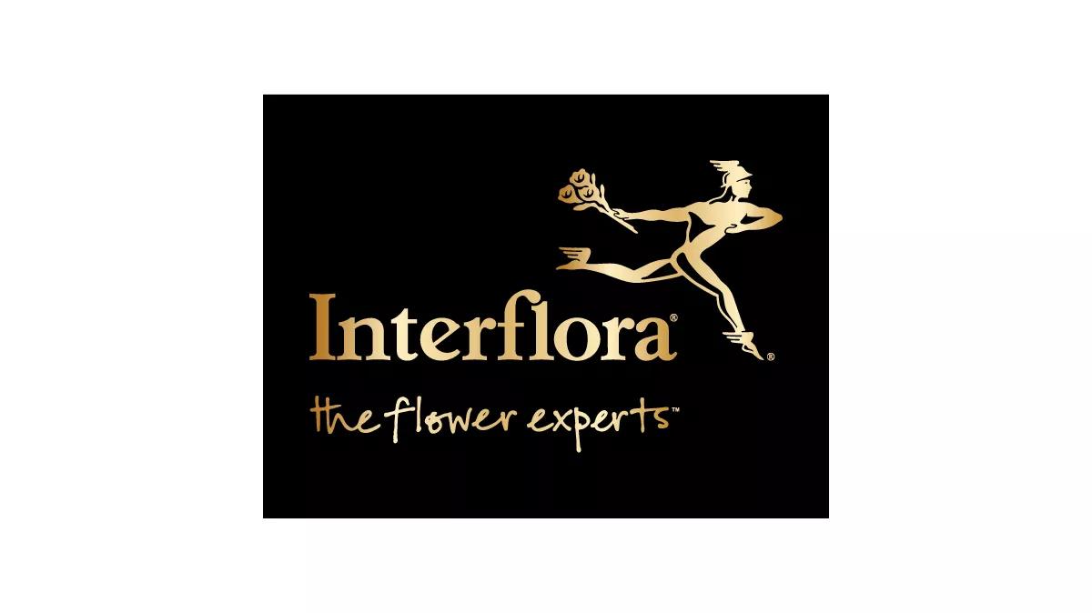 Få overblik over hvilke fordele du kan få i medlemsklubben